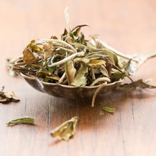 Tipos de chá - Conheça as 6 famílias - Catherine Fine Teas